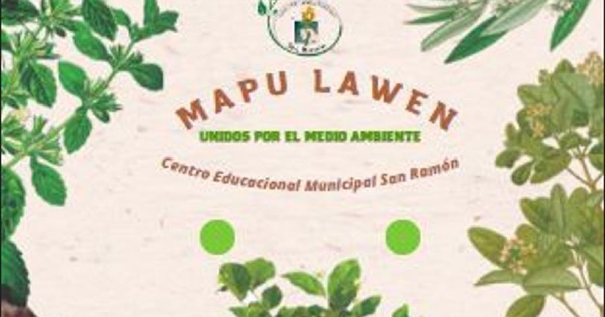 PROYECTO MAPU LAWEN « daleProfe - Proyectos