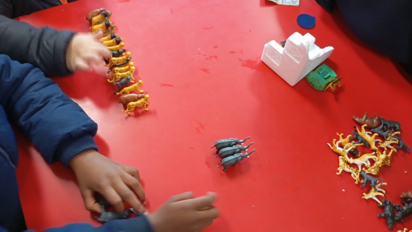 DESCUBRIENDO Y EXPLORANDO NUESTRA FLORA FAUNA Y NUESTRO PROPIO CUERPO « daleProfe - Proyectos